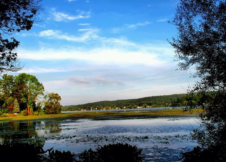 Lake Musconetcong Community Shoreline CleanUp - Borough of Stanhope