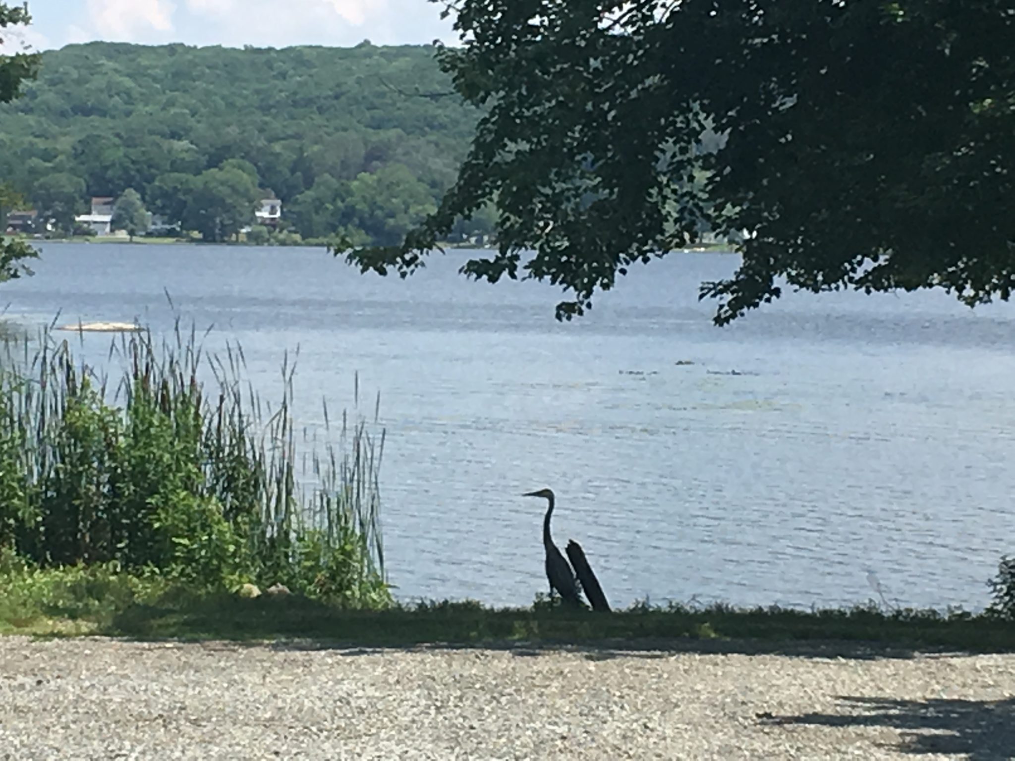Lake Musconetcong Refilling - Borough of Stanhope